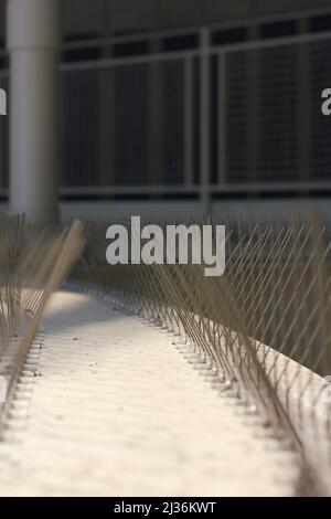 Sharp bird control wires sticking out in a dangerous fashion Stock ...