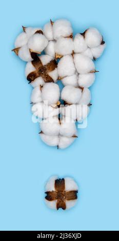 flower font for symbol exclamation mark, ampersand(and) (collection ...