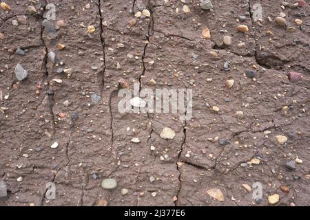 Stones embedded in a clay cliff face Stock Photo - Alamy