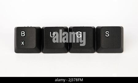 computer bugs on keyboard - concept of computer bug, computer virus ...