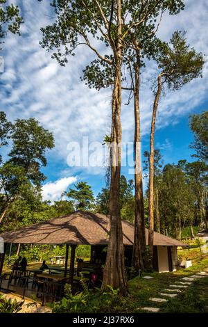 Retreat Serapi, Matang, Sarawak, East Malaysia, Borneo Stock Photo - Alamy