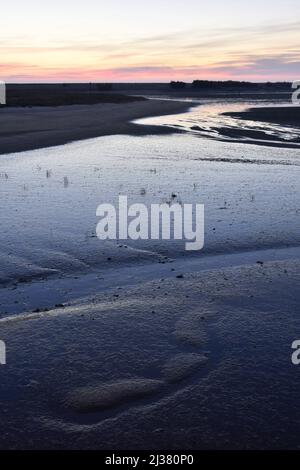 Local Nature Reserve of river Douro estuary, wetlands area with water ...