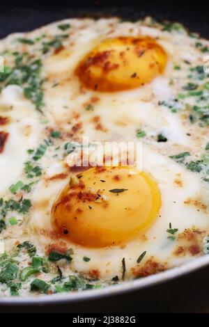 Consecutive steps of preparing fried eggs with ham and herbs. Step by ...