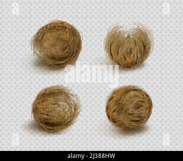 Tumbleweed, dry weed ball isolated on transparent background. Vector realistic set of western ...