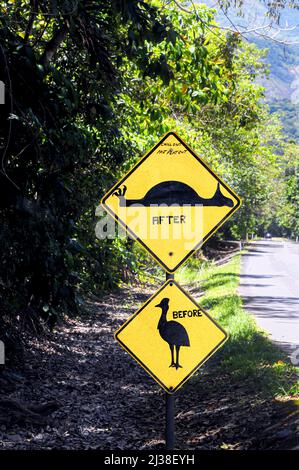Dangerous Birds Warning Sign Stock Photo - Alamy