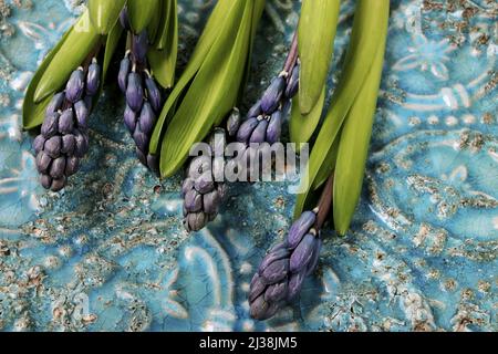 Violet hyacinth flowers on rough ceramic surface. Party decor Stock ...
