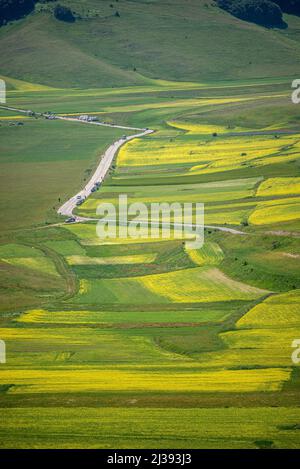 View of Pian Piccolo valley during June blooming, Castelluccio di ...