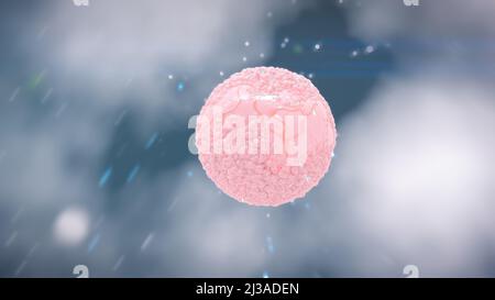 Virus attached to cell receptor and injecting RNA, coronavirus ...