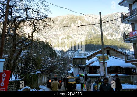 Hadimba Devi Temple is surrounded by thick deodar forests and was built ...