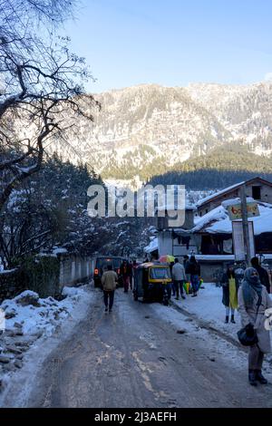 Hadimba Devi Temple is surrounded by thick deodar forests and was built ...