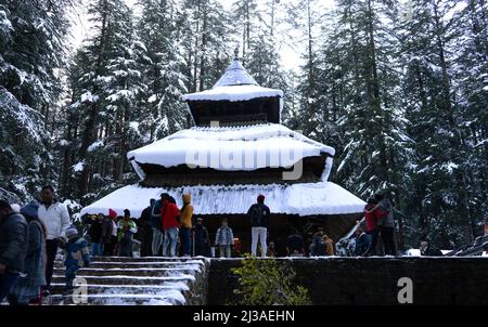 Hadimba Devi Temple is surrounded by thick deodar forests and was built ...