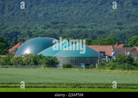Biogas plant near Springe, Lower Saxony, Germany Stock Photo - Alamy