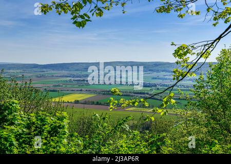 Germany, Lower Saxony, Hessisch Oldendorf, houses at the old part of ...