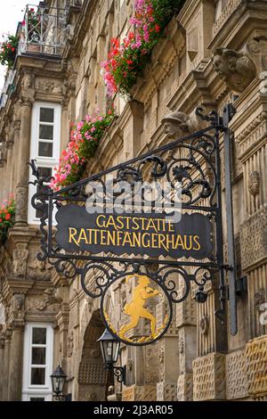 Hameln Hamelin at the Weser Lower Saxony germany statue of The Pied ...