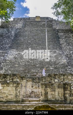 View of Calakmul, a Maya archeological site deep in the jungles of the ...