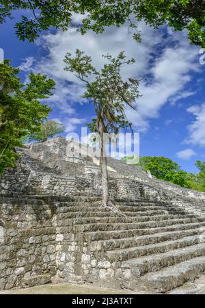 Pyramid of Structure II, Calakmul, Campeche, Yucatan, Mexico Stock ...