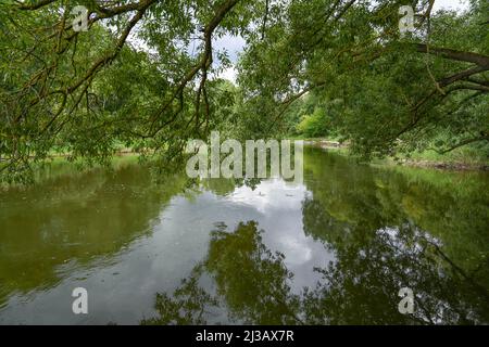 Werra, river course between Frankenroda and Treffurt, Hesse, Germany ...