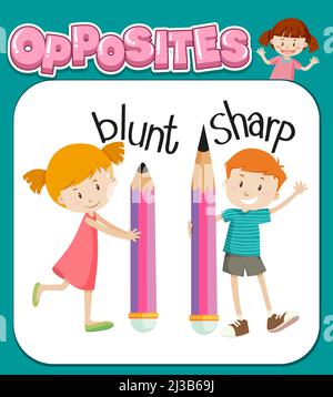 Opposite words for blunt and sharp illustration Stock Vector Image ...