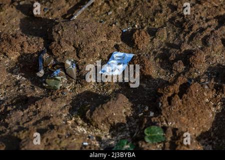Plastic packaging in the natural environment. Empty used dirty plastic ...