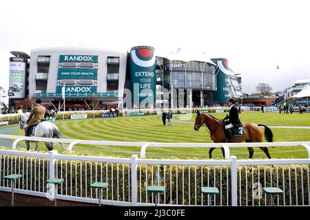 A general view of the retraining of racehorses parade in the parade ...