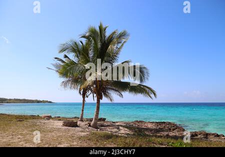 The splendid sea of the Bay of Pigs, Cuba Stock Photo - Alamy