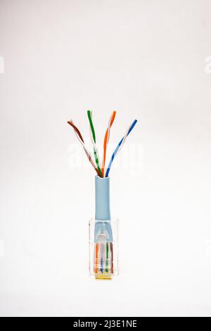 An Rj 45 Connector with Category 5 color coded twisted pair wires used ...