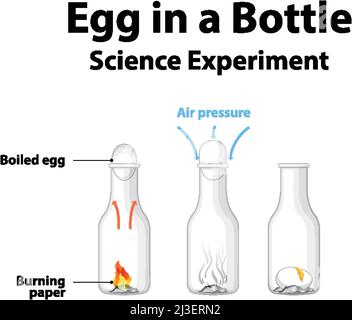 Science experiment with egg in a bottle illustration Stock Vector Image ...