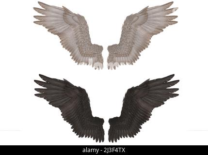 Pair of isolated angel wings with 3D feathers on white background, 3D Illustration, 3D Rendering ...