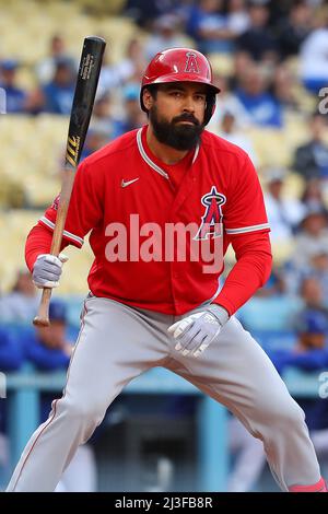 Los Angeles Angels' Anthony Rendon during a spring training baseball ...
