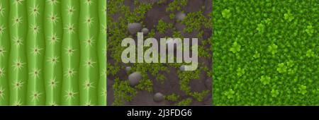 Textures of ground with green grass, clover and cactus with prickles ...