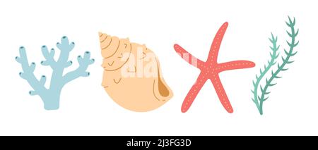 Seshell coral vector, simple color, flat design Stock Vector Image ...