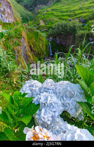 Waterfall near poco azul at Sao Miguel island in Portugal Stock Photo ...