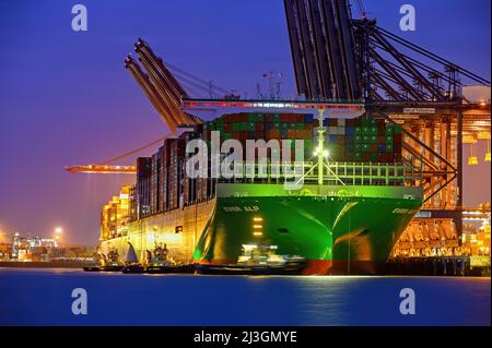Ever Alp (Evergreen), the Ultra Large Container Carrier at the Port of ...