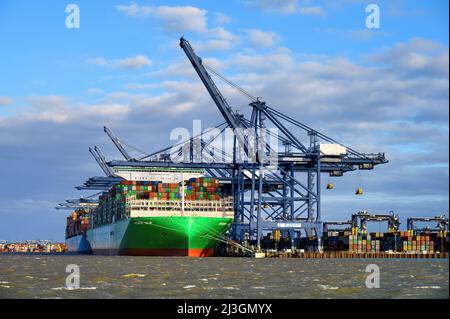 Ever Alp (Evergreen), the Ultra Large Container Carrier at the Port of ...