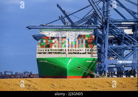 Ever Alp (Evergreen), the Ultra Large Container Carrier at the Port of ...
