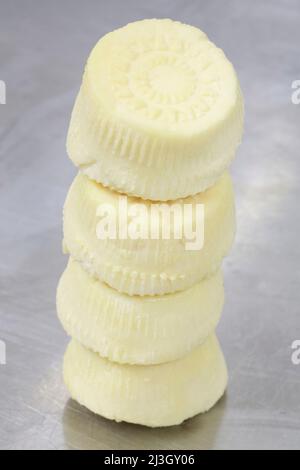 Malta, Haz-Zebbug, Tal Karmnu farm, production of gbejna (local sheep's ...