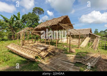 Philippines, Palawan, Rizal, Singnapan Valley, trek to meet the Tau't ...