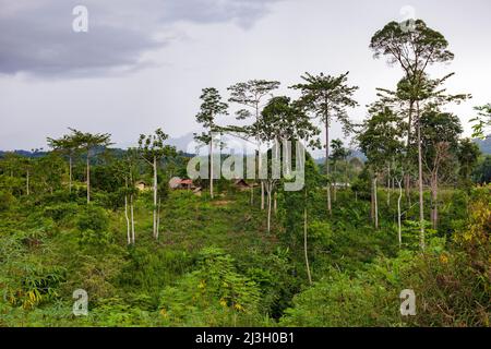 Philippines, Palawan, Rizal, Singnapan Valley, trek to meet the Tau't ...