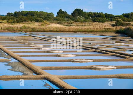 France, Loire Atlantique, Guerande, Pradel, the salt marshes Stock ...