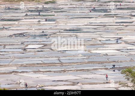 Uganda, Kasese district, Kasenyi, Bunyampaka crater lake, the salt pans ...
