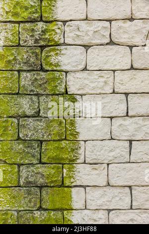 Damp brick wall with green algae Stock Photo - Alamy