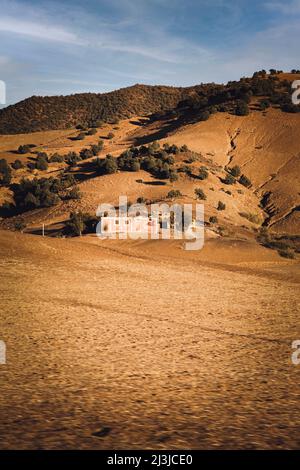 Barren, landscape, flock of sheep, Maghreb, Morocco, Africa Stock Photo ...