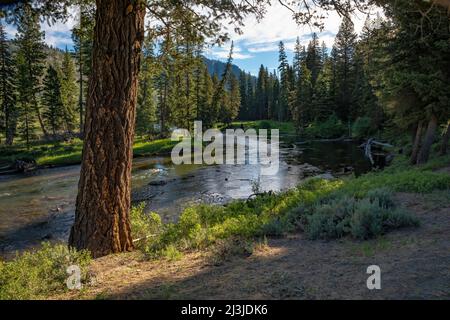 Fast-flowing Soda Butte Creek in the Absaroka Mountains of northeast ...