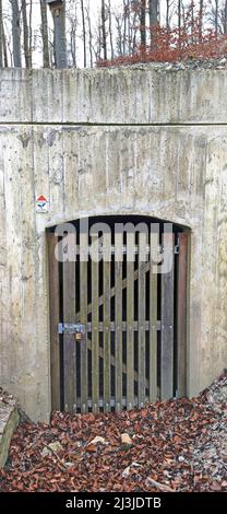Bat roost sign Stock Photo - Alamy
