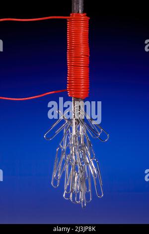 Lines of paperclips Stock Photo - Alamy