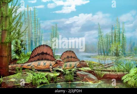 Permian Period, Life comes to the Land, Dimetrodon grandis Stock Photo ...