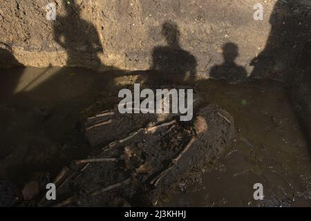 Shadows of archaeologists of the Indonesia's National Archaeology ...