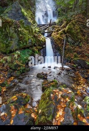 Mossy Rock Near the Water with Leaves Stock Photo - Alamy