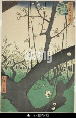 Plum Garden at Kameido (Kameido Umeyashiki), from the series "Famous ...
