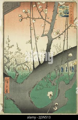 Plum Garden at Kameido (Kameido Umeyashiki), from the series "Famous ...